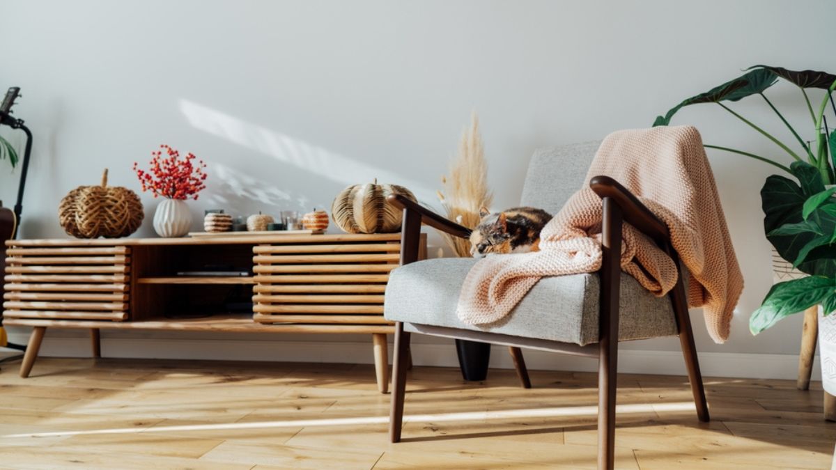 Modern Fall Decor: Fresh Takes On Classic Autumn Styles